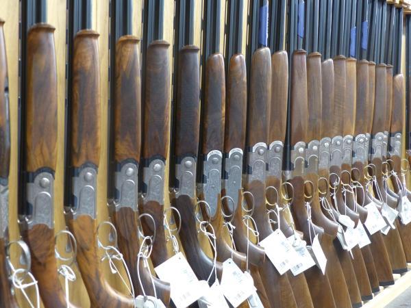 Top 5 Game Gun Picks For The Season Ahead... | Bywell Blog