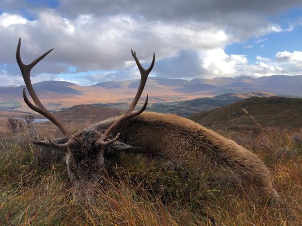 Red Stalking Scottish Adventure | Bywell Blog
